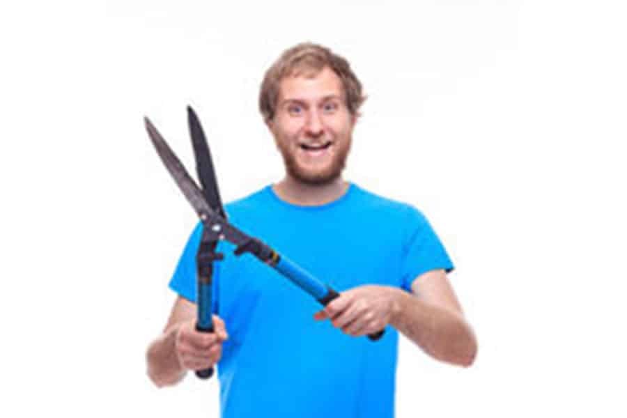To Prune or not to Prune? | AJ Buckingham & Associates Pty Ltd
